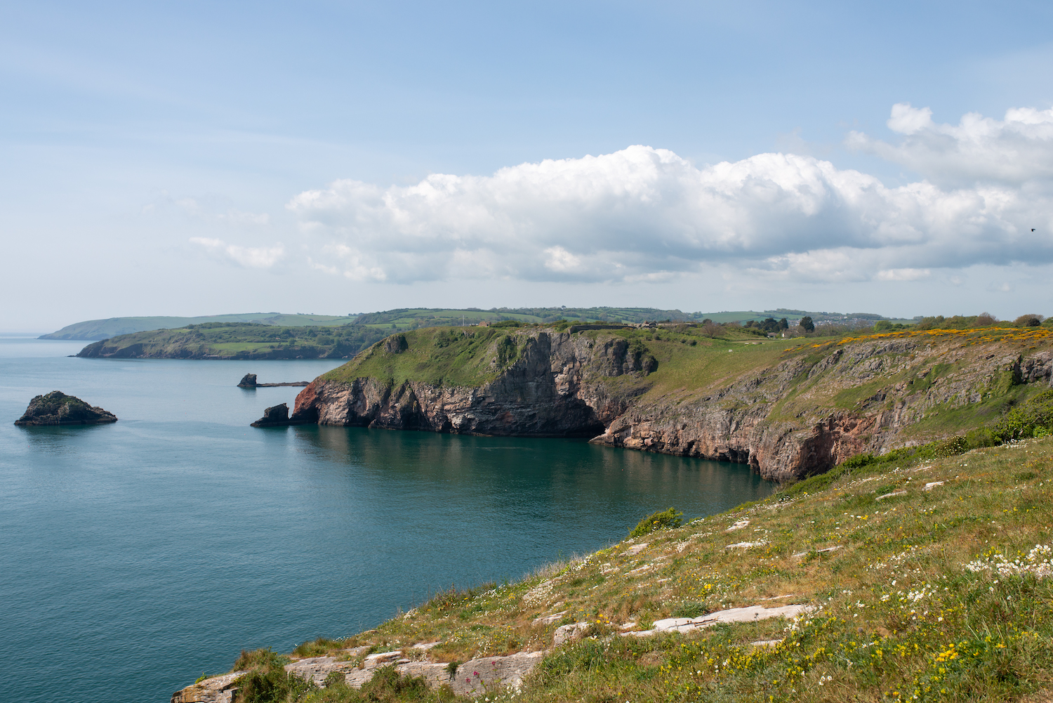 Berry Head Nature Reserve – Discover Dartmouth
