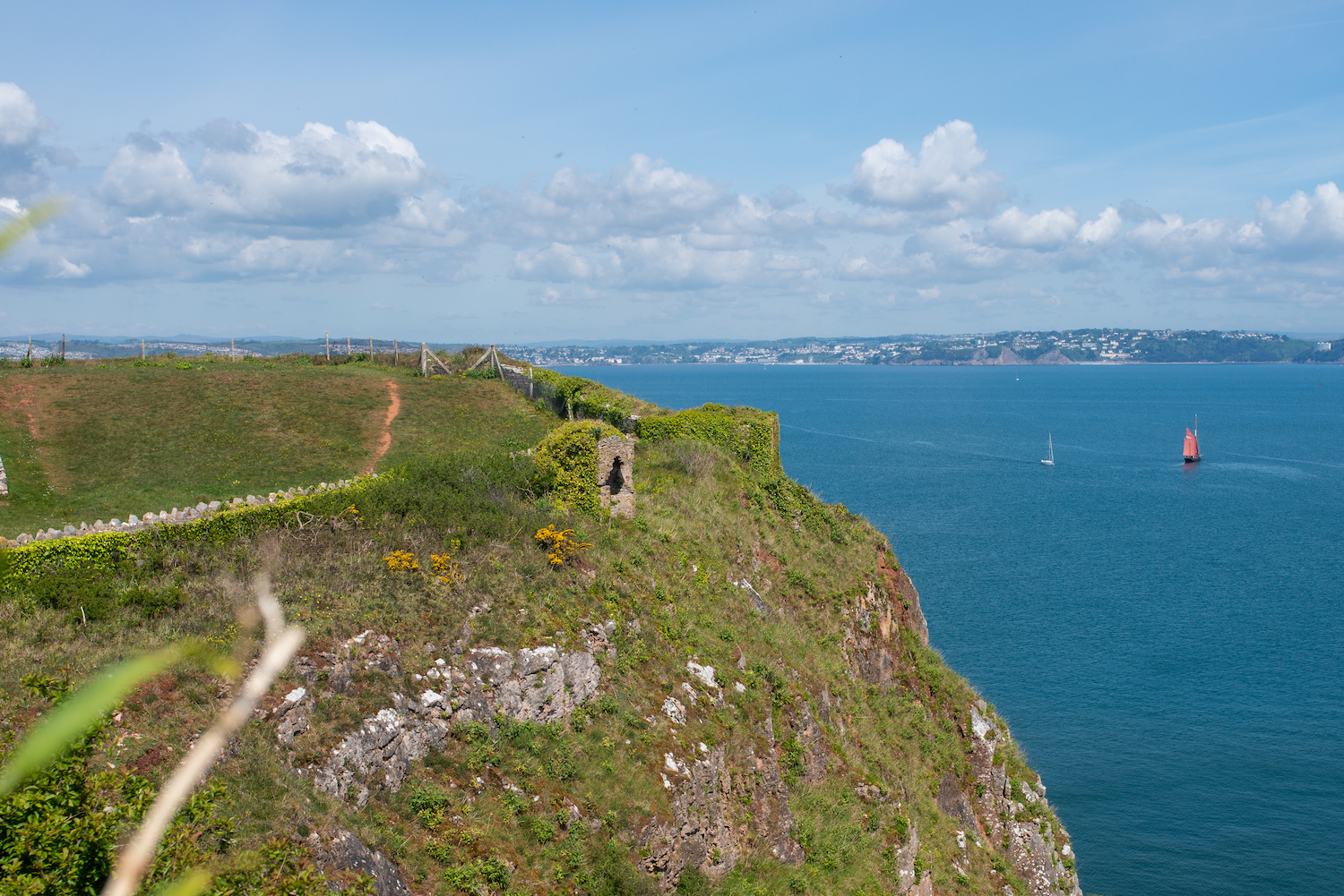 Berry Head Nature Reserve – Discover Dartmouth